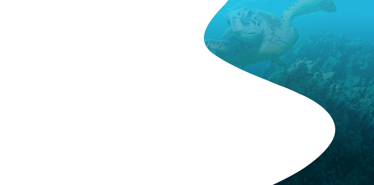 Buy Waiākea Water Online | Naturally Alkaline Hawaiian Volcanic Water ...